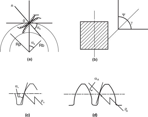 Relative Curvature of Worm & Wheel with Straight Line Generatrix | Gear ...